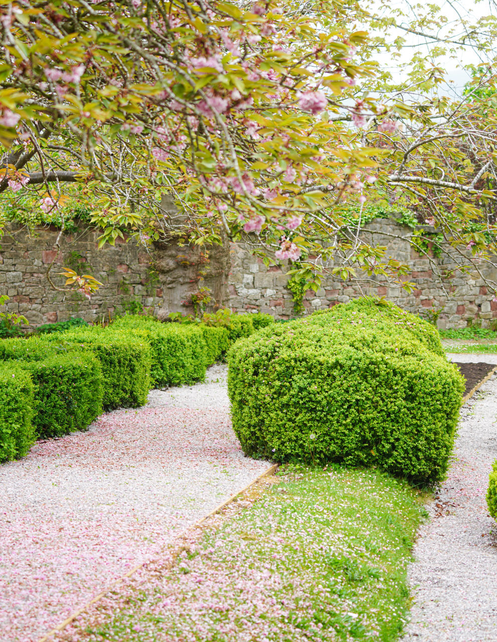 Hotel Offers in North Wales | Ruthin Castle Hotel & Spa